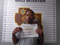 Inmate Roster - Page 1 Current Inmates Booking Date Descending - Miller ...