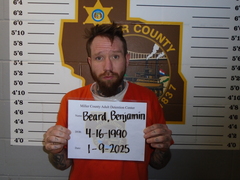 Inmate Roster - Current Inmates Booking Date Descending - Miller County ...